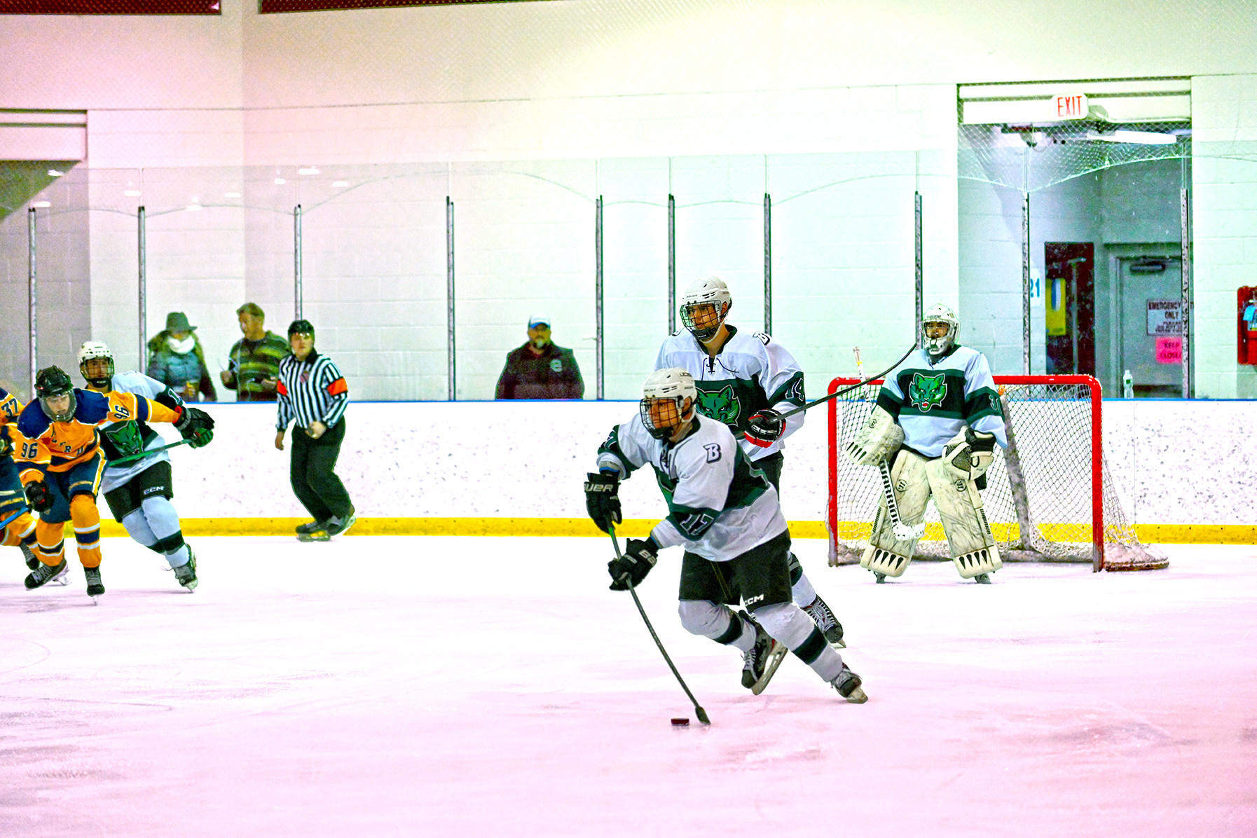 Binghamton and St John Fisher Bring AAU College Hockey National Titles ...
